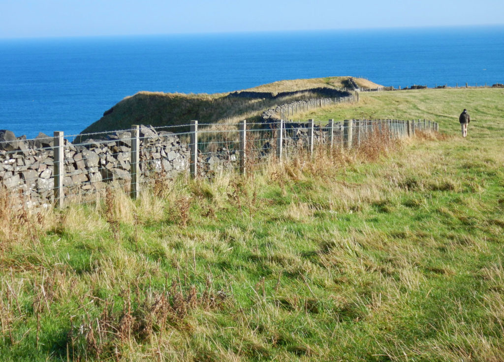 Siccar Point: A Day In The Field At Hutton’s Unconformity – GEOPOSTINGS